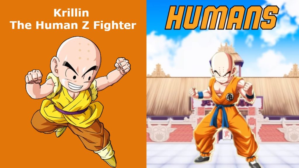 Dragon Ball Z: Krillin, the Human Z Fighter - Dragon Ball Z Merch